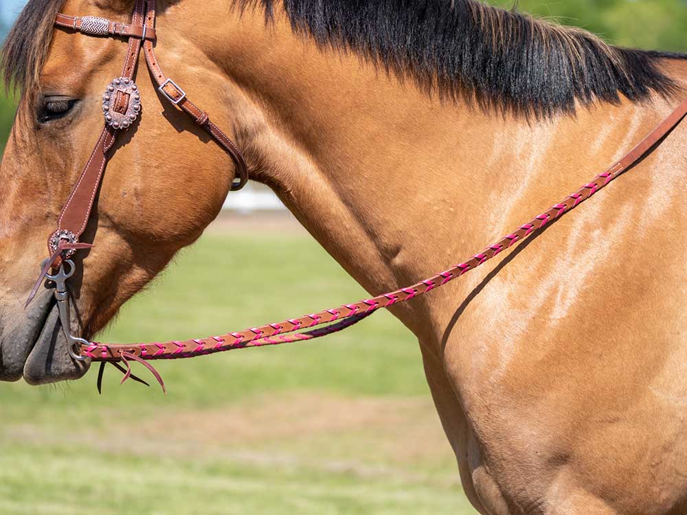 Western Split Reins with Pink Braiding – Grewal Equestrian