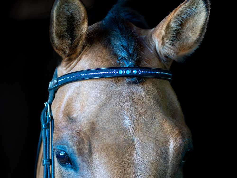 Browbands for Horses: Types, Fit, and How to Choose the Right One ...