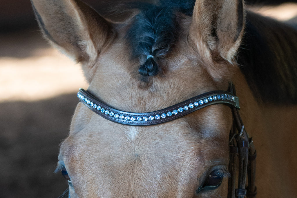 Frozen Browband – Grewal Equestrian