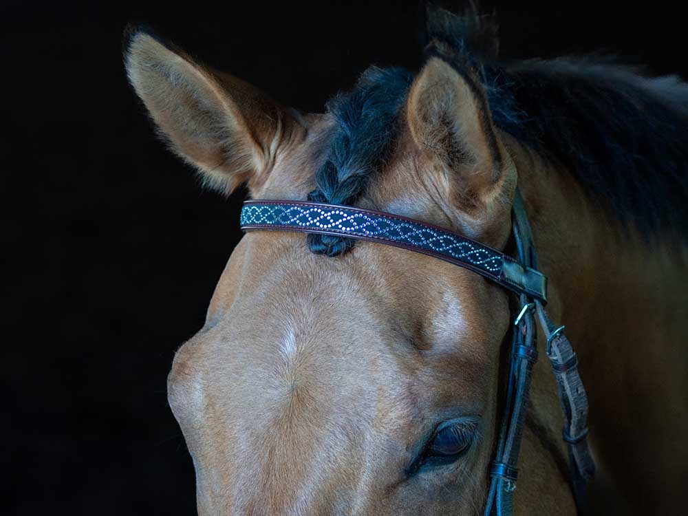 Intertwining Chain Browband & Grewal Equestrian