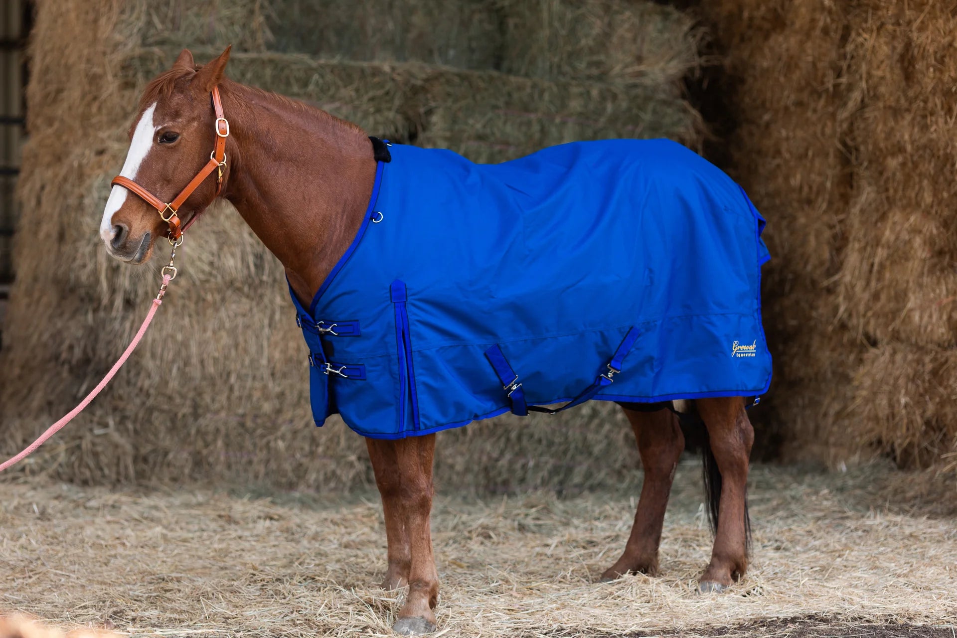 Waterproof Breathable Turnout & Stable Blanket – Grewal Equestrian