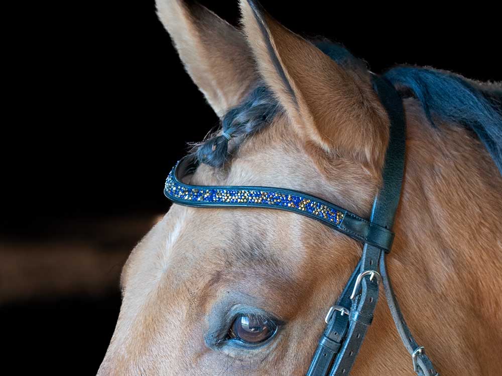 Midsummer Bedazzled Browband – Grewal Equestrian