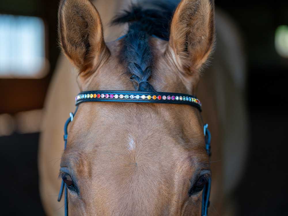 Rainbow Chain Browband – Grewal Equestrian