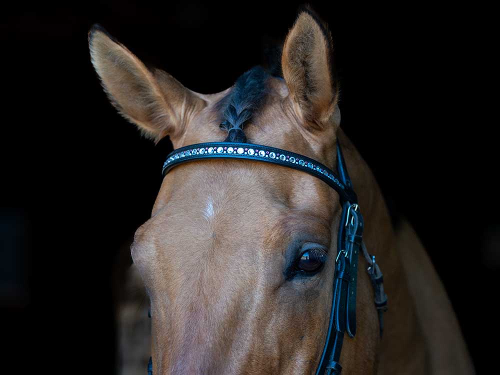 Rosalee Chain Browband – Grewal Equestrian