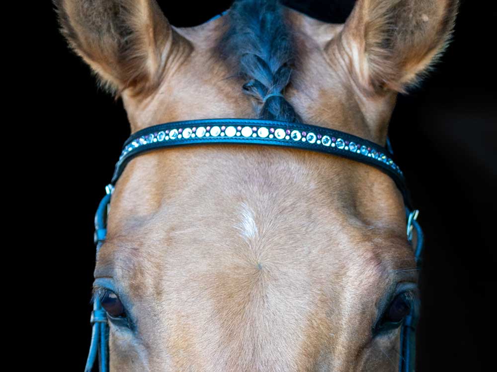 Rosalee Chain Browband – Grewal Equestrian